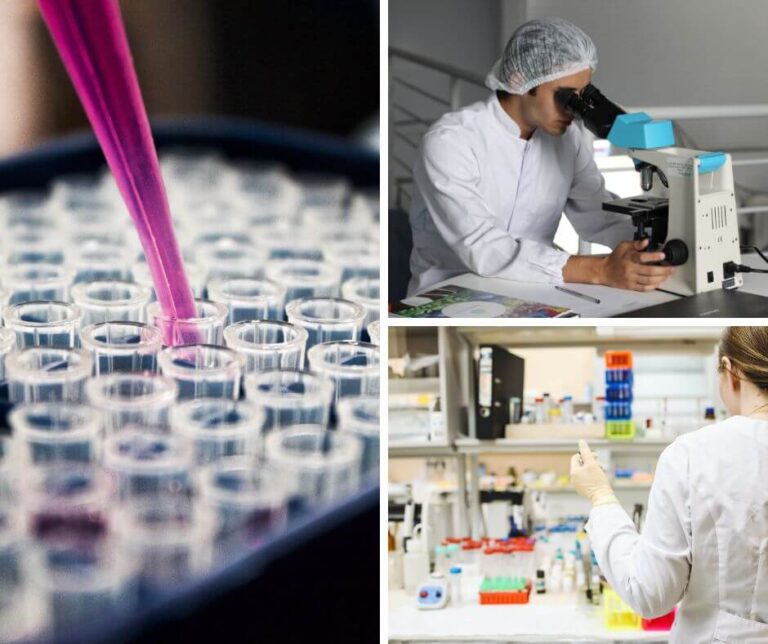 Accredited laboratory WinnerAgro | laboratory testing of animal feed